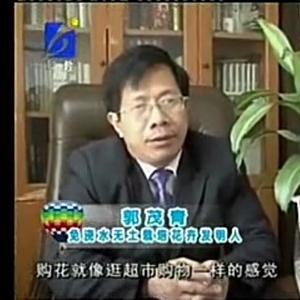 免浇水无土栽培花卉 