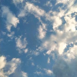 夏沫教育分享 