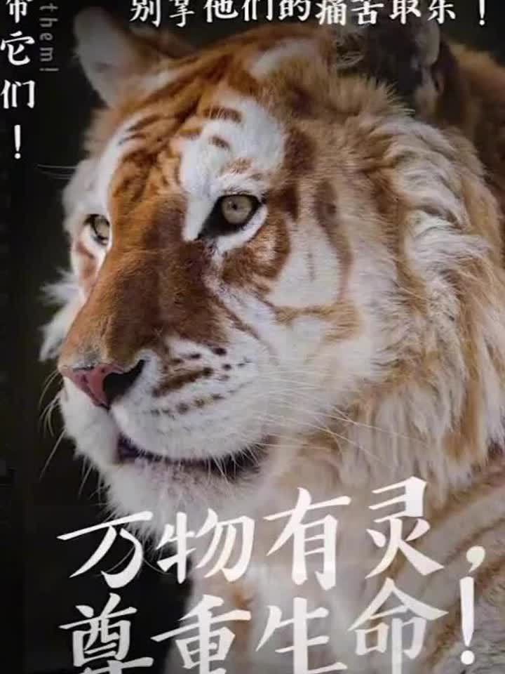 #拒绝动物表演 万物有灵,请尊重生命!#ps