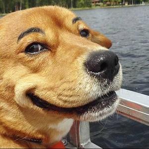 爆笑影视大全无敌 