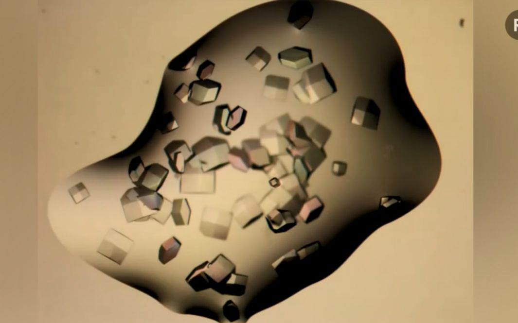 【生物科研视频教程】结构生物学小伙伴喜欢的,蛋白晶体相关知识视频