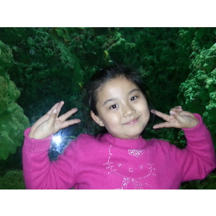 长翅膀的小猫咪 