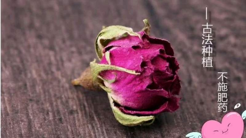 双12就要来了,你在忙着促销还是忙着剁手呢?