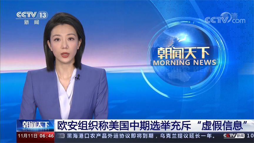 欧安组织称美国中期选举充斥"虚假信息"