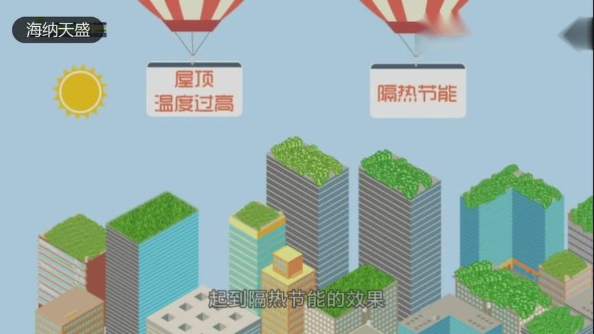 屋顶绿化概况-海纳天盛 屋顶绿化常识分享
