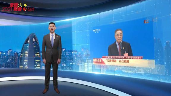 紫豪通道观察--2021全国两会第二场代表通道