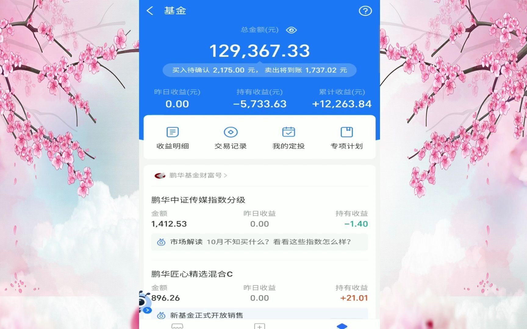 支付宝的目标投到现在有3个多点的收益 看起来还是定投更稳定一些