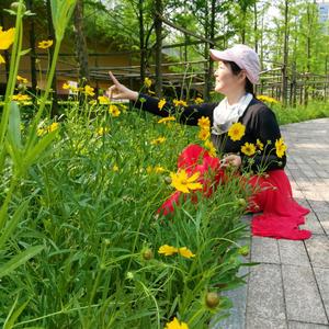 一点红刘蓉广场舞 