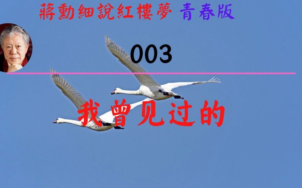 蒋勋细说红楼梦青春版-003