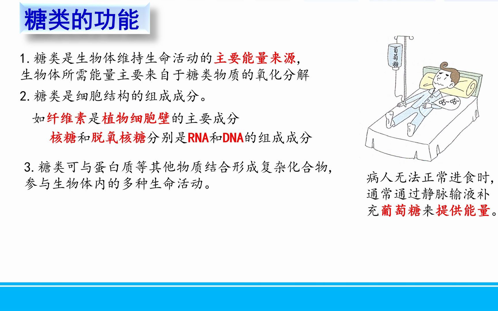 擅学高中生物一轮复习微课1.4.6糖类的功能-143