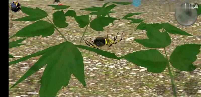 超真实蜘蛛生存模拟器各种动物做的很真实