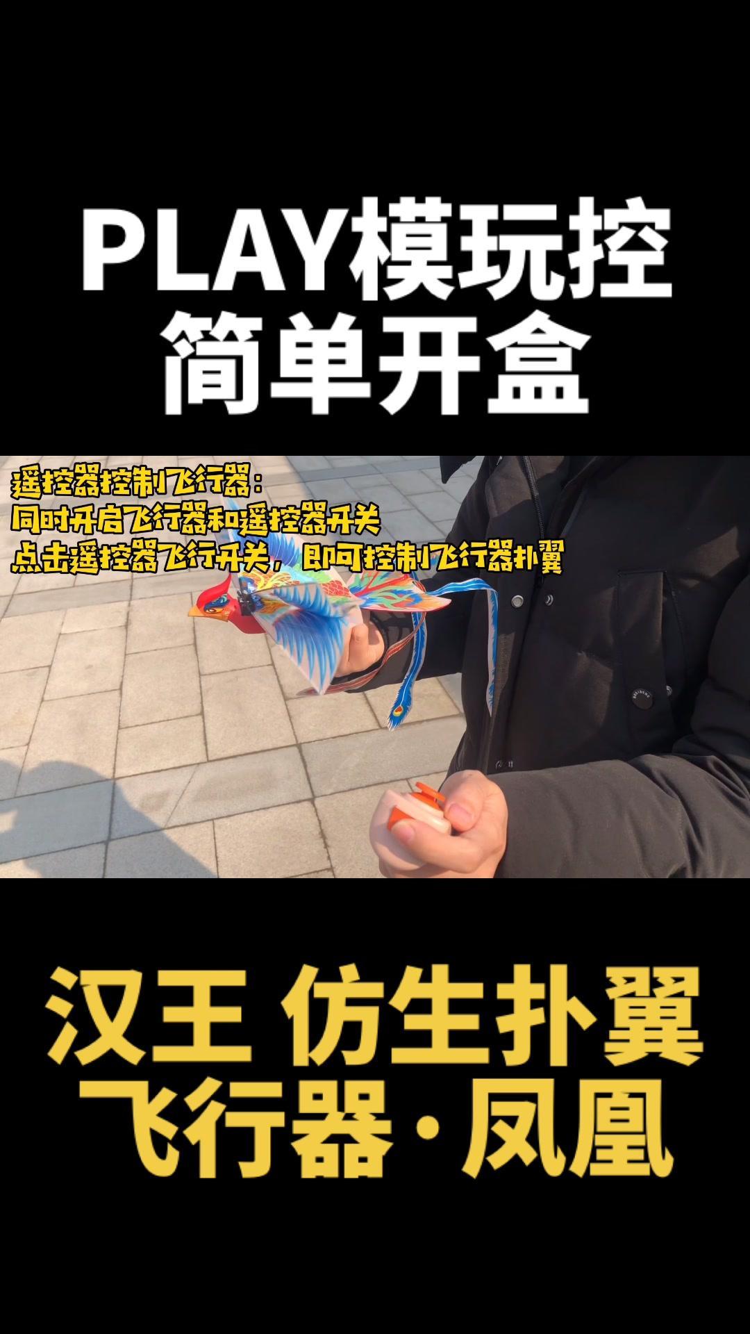 MG高达大小的仿生扑翼飞行器你见过吗?