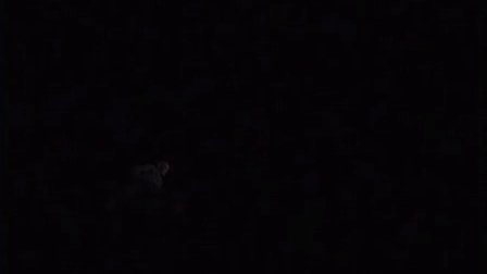 阿凡达的树 十七分钟节选