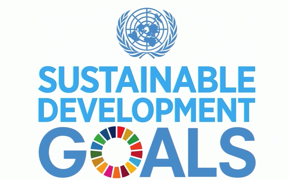 ...联合起来抗疫!看看联合国的17个可持续发展目标(硬核魔豆)(有字幕)