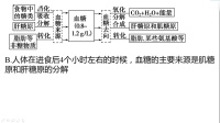 血糖平衡调节相关问题-高三生物易错知识点校本化微课的开发与应用...