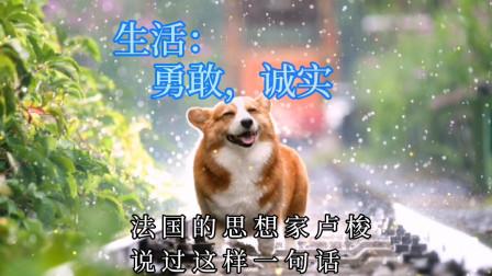 卢梭:生活的意义不在长度,在感受;对于生活,多一些勇敢和诚实