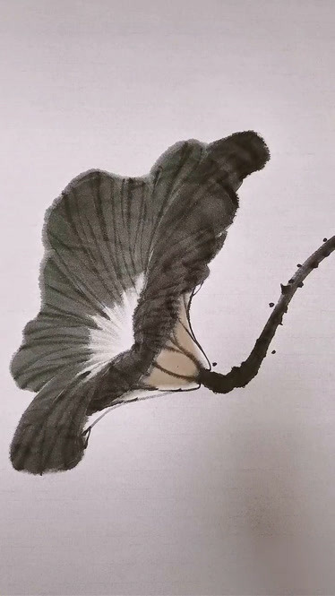 简单好学的画法话荷叶