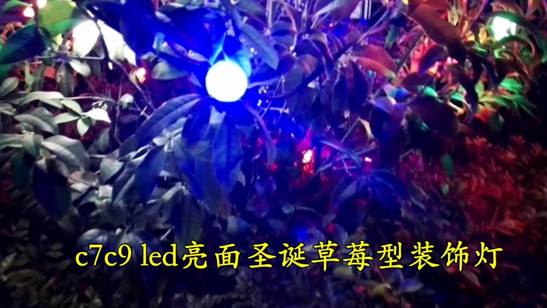 C7C9led亮面圣诞灯 e12e14冰箱指示灯 s14 ST45木瓜灯 华灯光源