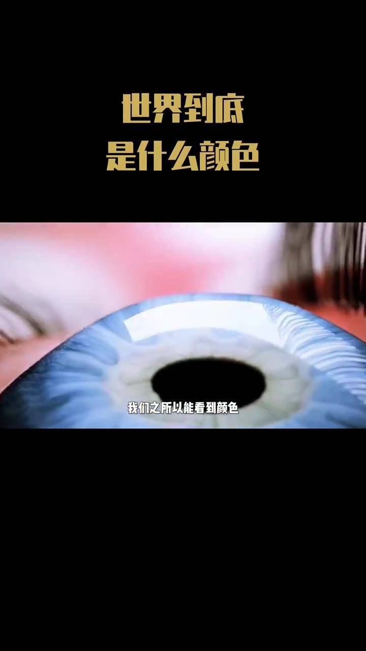 你看到的世界是真实的么