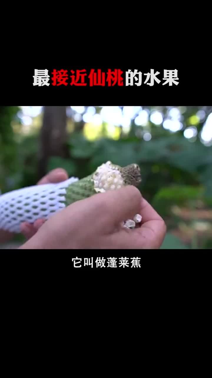 世界上最美味的水果
