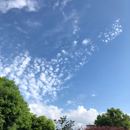 0D1B3CB0-2144-415F-87AE-606375C838B5 