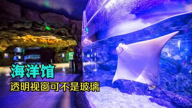 海洋馆视窗制造过程,一直以为是钢化玻璃,看完才知道错了!