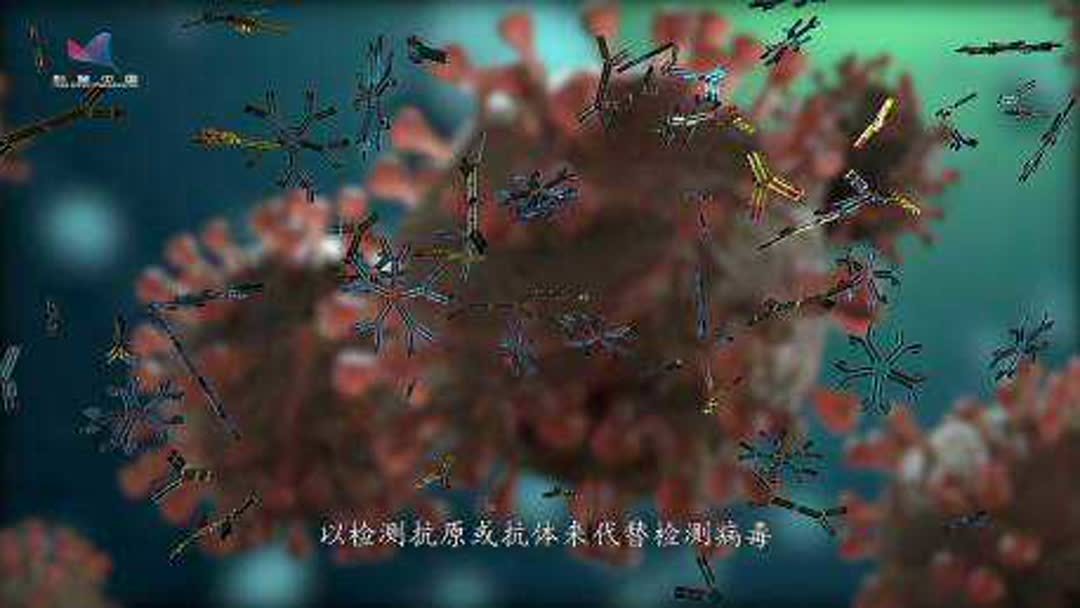 一滴血、15分钟就能出结果!免疫检测能替代核酸检测吗?