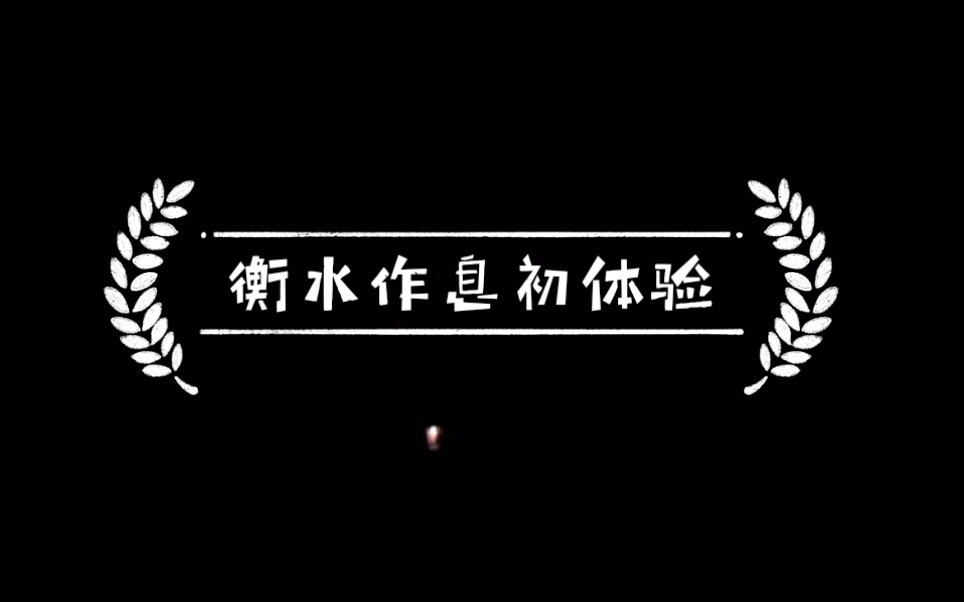 【vlog】寒假心血来潮挑战衡水中学作息表(划水版)
