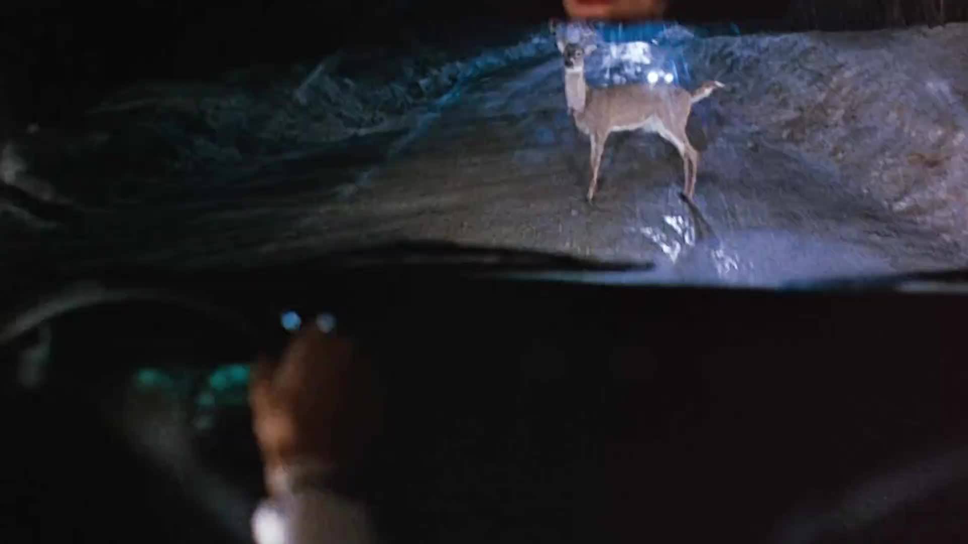 #科幻电影 #犯罪悬疑 #动作电影