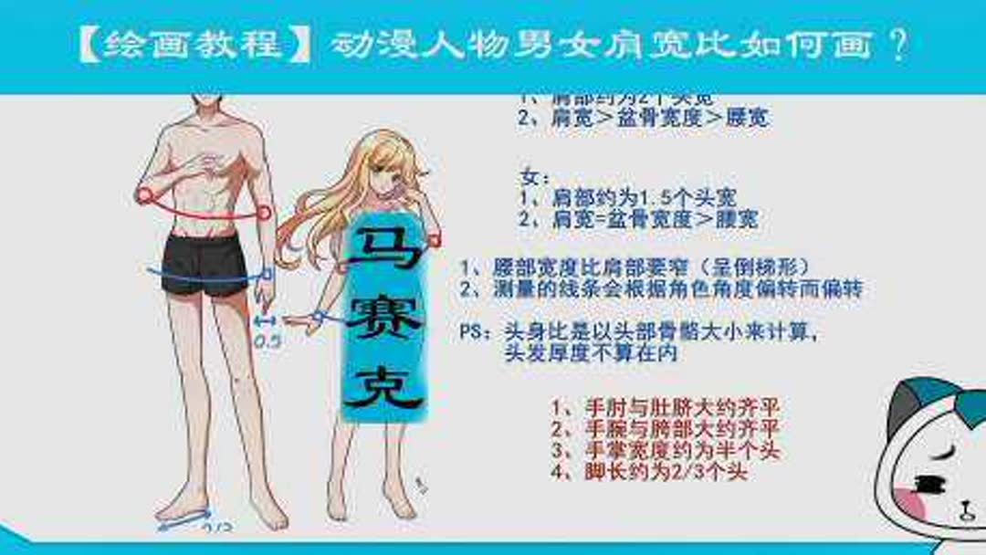 「绘画教程」动漫人物男女肩宽比例绘画技巧讲解