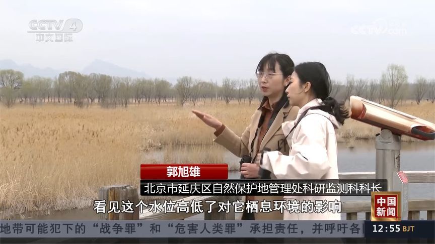 候鸟迁徙季 AI监测卫星定位 实现候鸟精准观测与保护