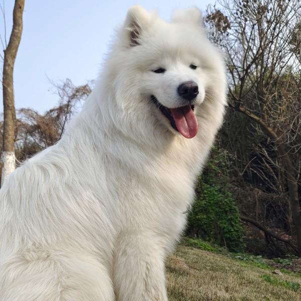 迪士尼在逃女巫tt 