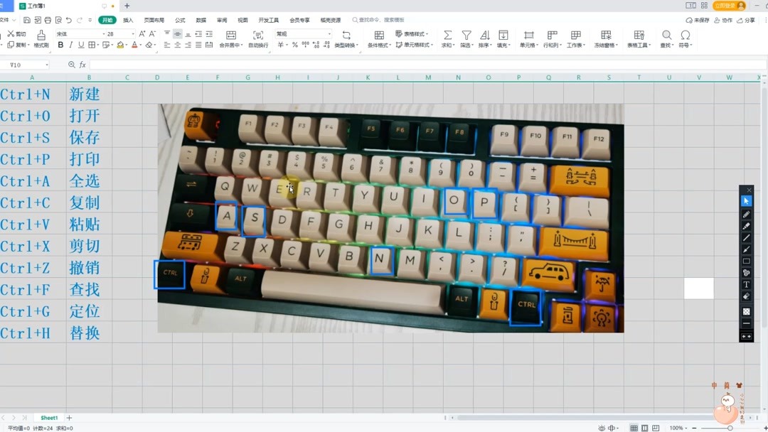 wps/office/Word/Excel/电脑办公软件文员自学,表格应用技巧
