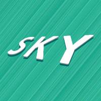 SkyYoung 
