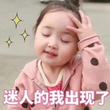 流落枫飞 
