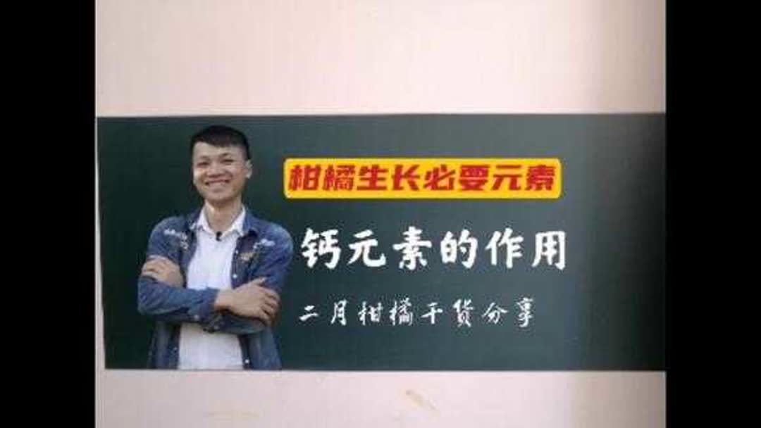 柑橘生长必要元素,钙元素的作用99%果农不一定知道#钙元素