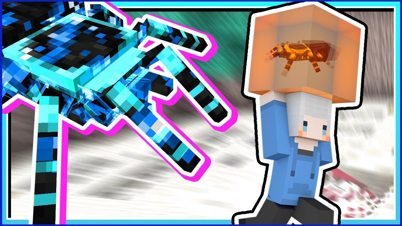 小白解说我的世界浑沌昆虫 37 抓不了你?那就抓你小孩