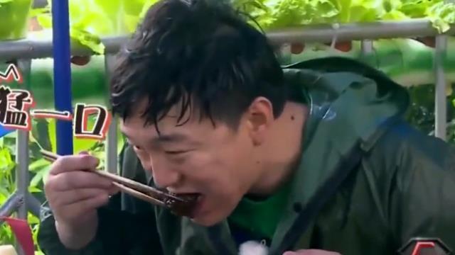 明星吃辣椒后的表情,青岛贵妇黄渤被辣出表情包,毫无偶像包袱