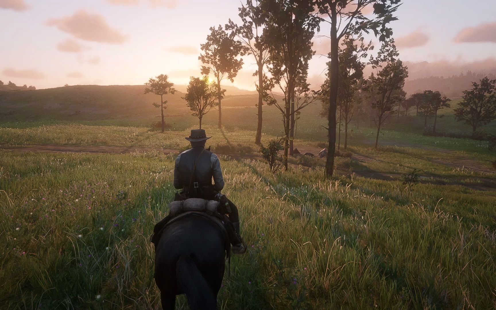 [荒野大镖客2] 中画质,优化不错