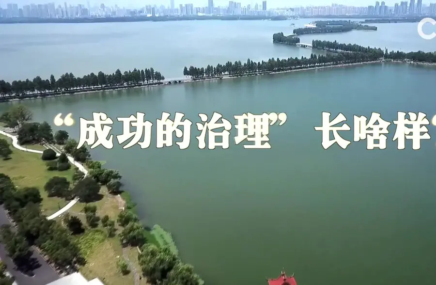 “成功的治理”长啥样——解码基层治理体系和治理能力现代化