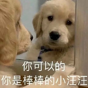 柠檬鲨里没有余烨圣 