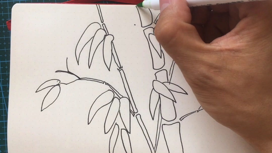 简笔画竹子的画法,记得收藏哦