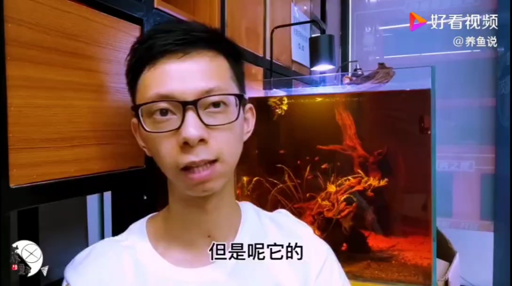 想养鱼怎么用过滤器
