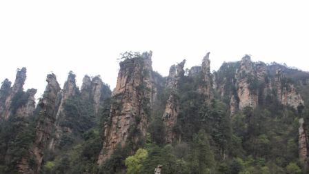 张家界森林公园景区