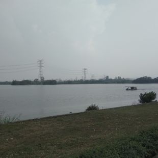 盛x月影64554 