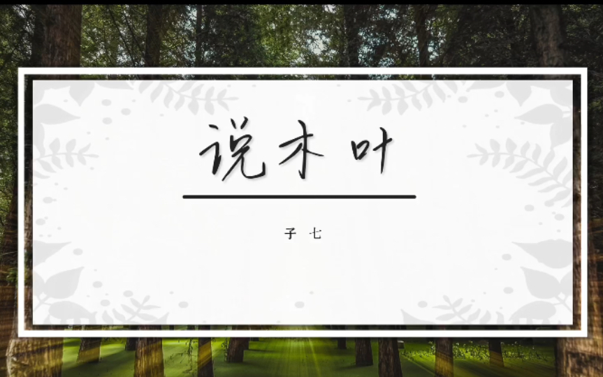 高中语文教资面试重点篇目13——《说木叶》课文梳理+教案试讲