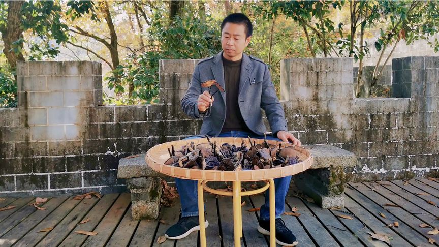 野生灵芝怎么食用?分享常用的四种方法,赶紧收藏起来,超实用