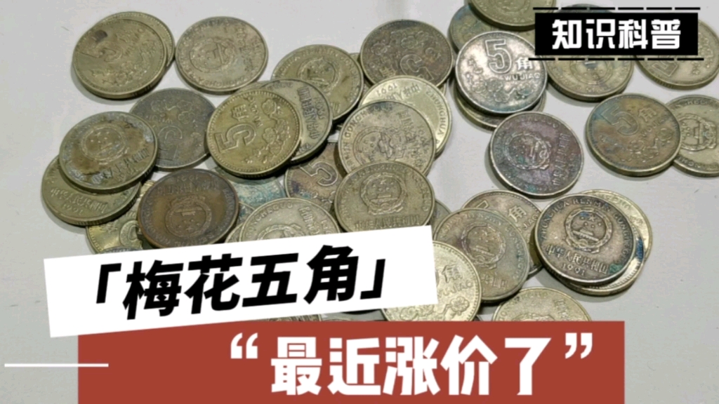梅花五角硬币,听说涨价了,是不是真的?现在收藏价格到多少了