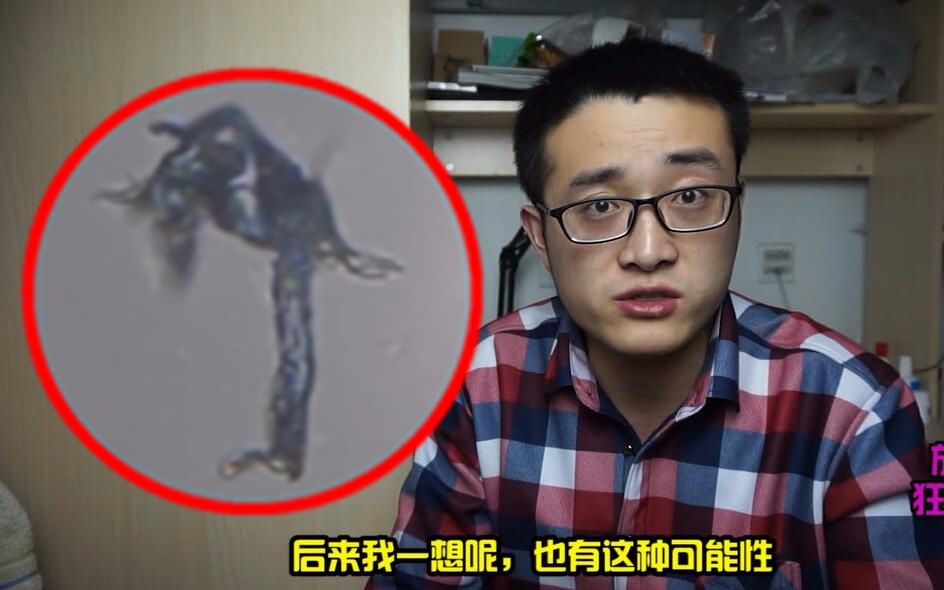 显微镜放大空气中 灰尘 400倍,揭秘微观世界灰尘的神秘面纱