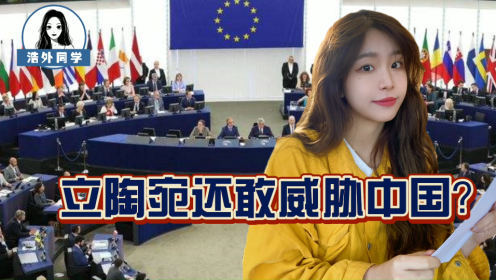 立陶宛还敢威胁中国?要先看到中方的"诚意",看来还没吃够教训